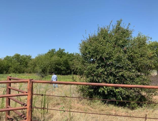 FWAS Home - Fort Worth Audubon Society